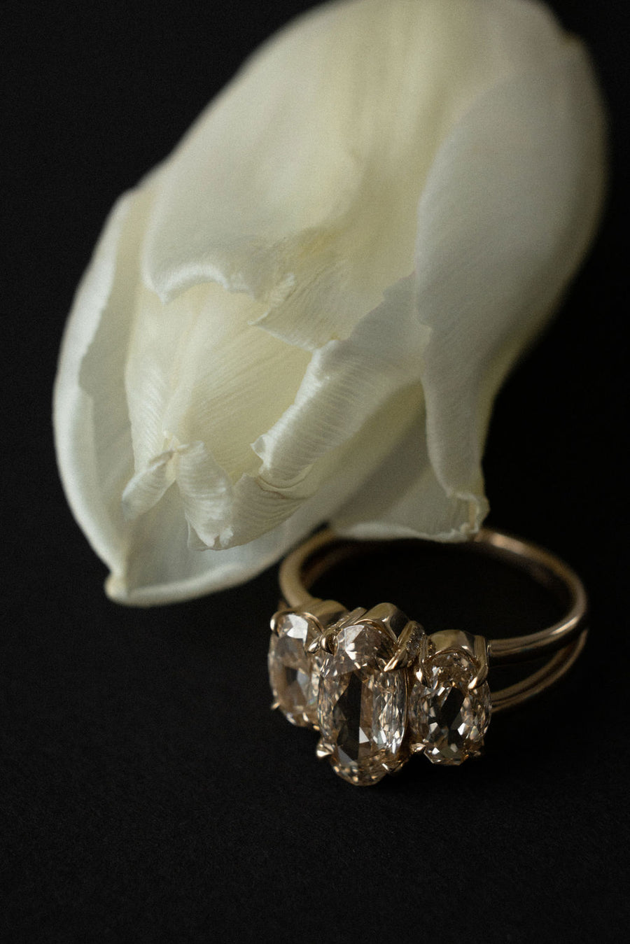 Champagne Moval Three-Stone – June Rings