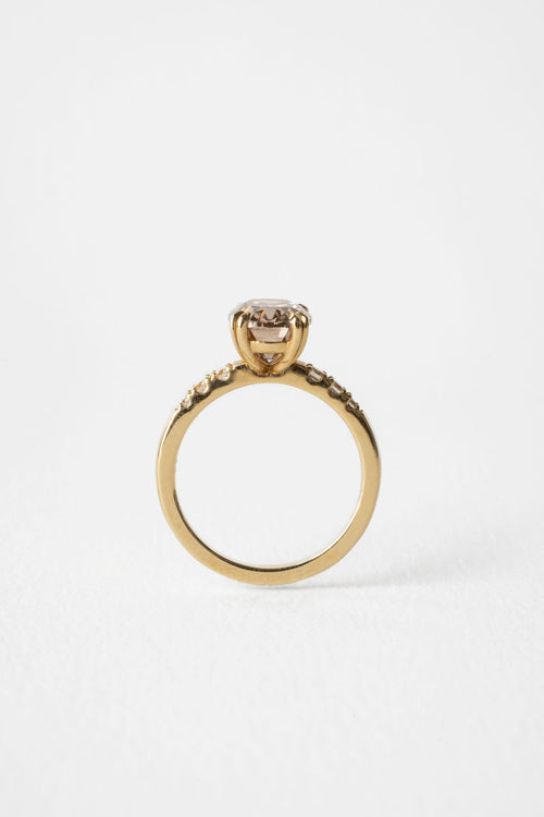 Deep Champagne Aspen – June Rings