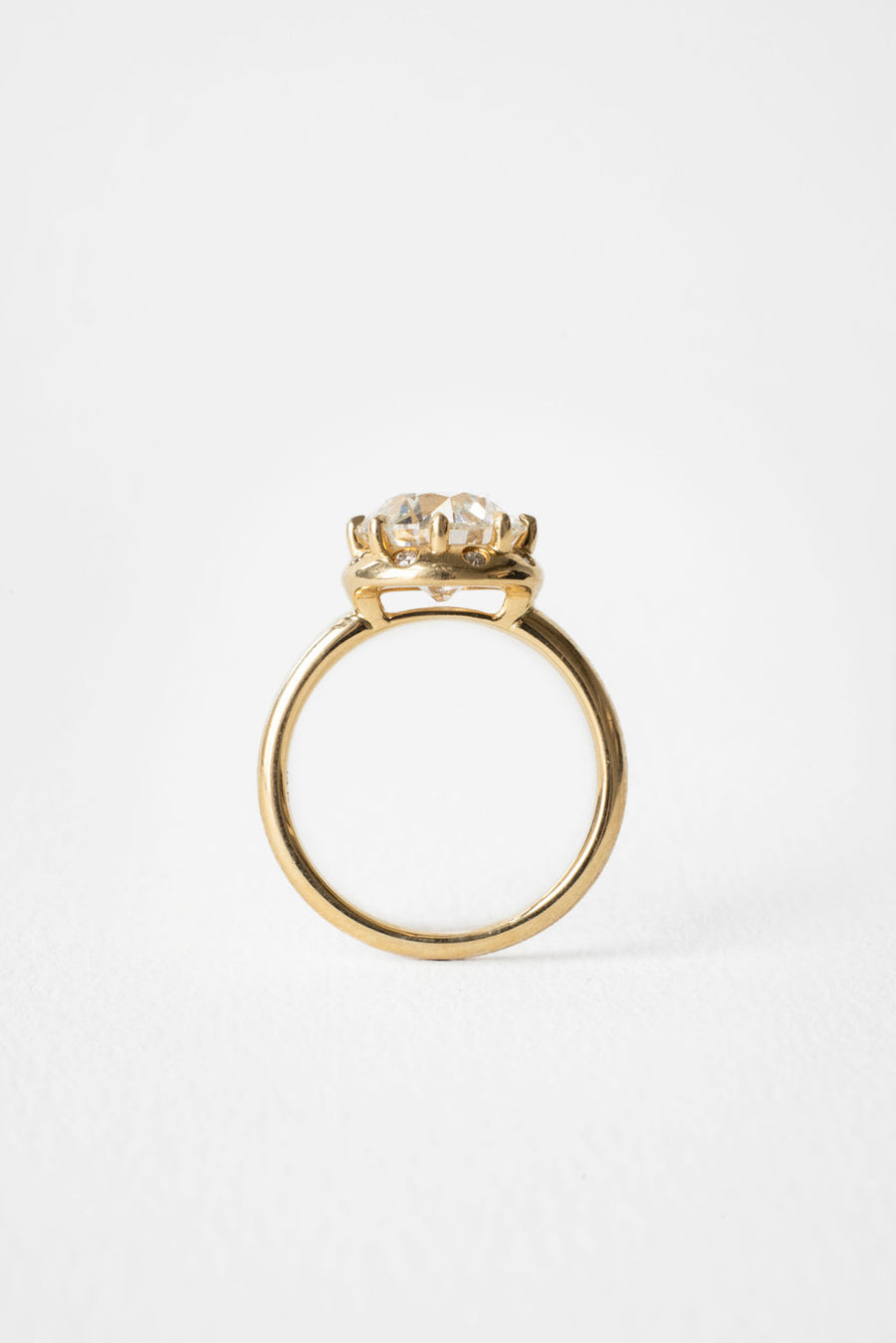 Arden || Euro Cut – June Rings